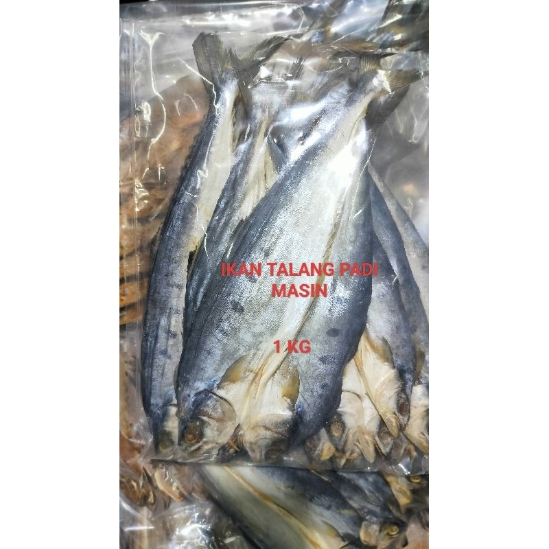 Ikan Talang Padi Masin 1kg | Shopee Malaysia