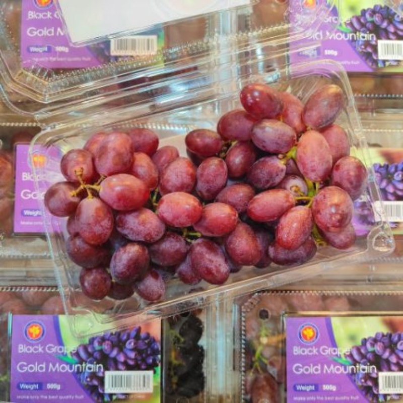 China Black Grape (500g) | Shopee Malaysia