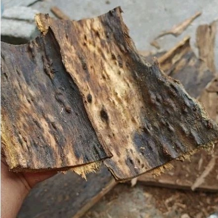 KULIT KAYU HALBAN HITAM PAKSU BADANG | Shopee Malaysia