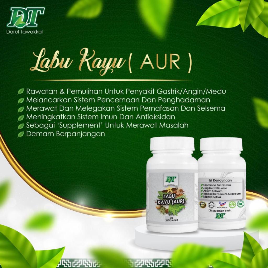 LABU KAYU PENAWAR ANGIN MEDU | PENAWAR GASTRIK | PENAWAR ANXIETY | UBAT ...