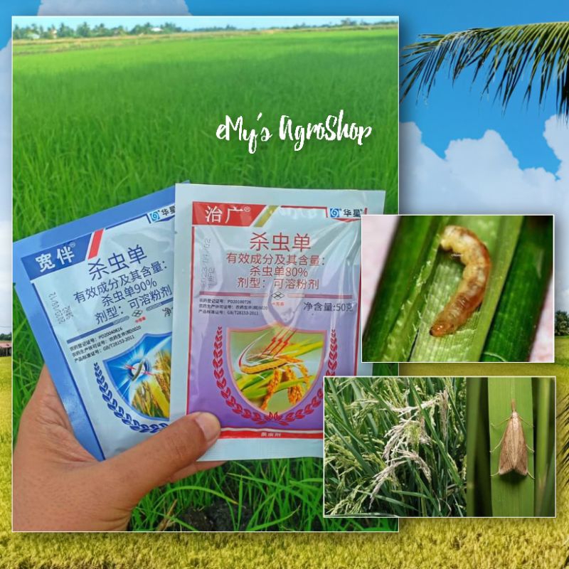 Ulat Batang 🇨🇳 (kawalan telur rama-rama) | Shopee Malaysia