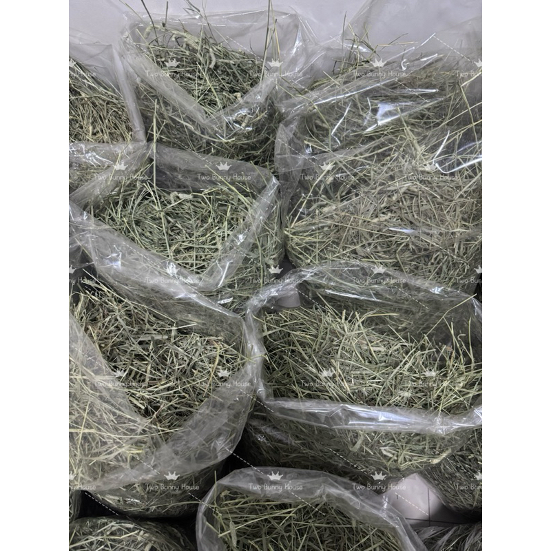 Timothy Hay Dust Free Premium filtered Timothy imported hay 1kg small ...