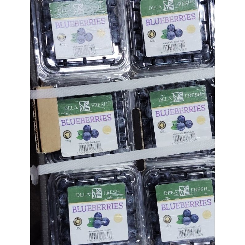 Blueberry, 🫐 🫐 🫐 Blueberries 125g | Shopee Malaysia