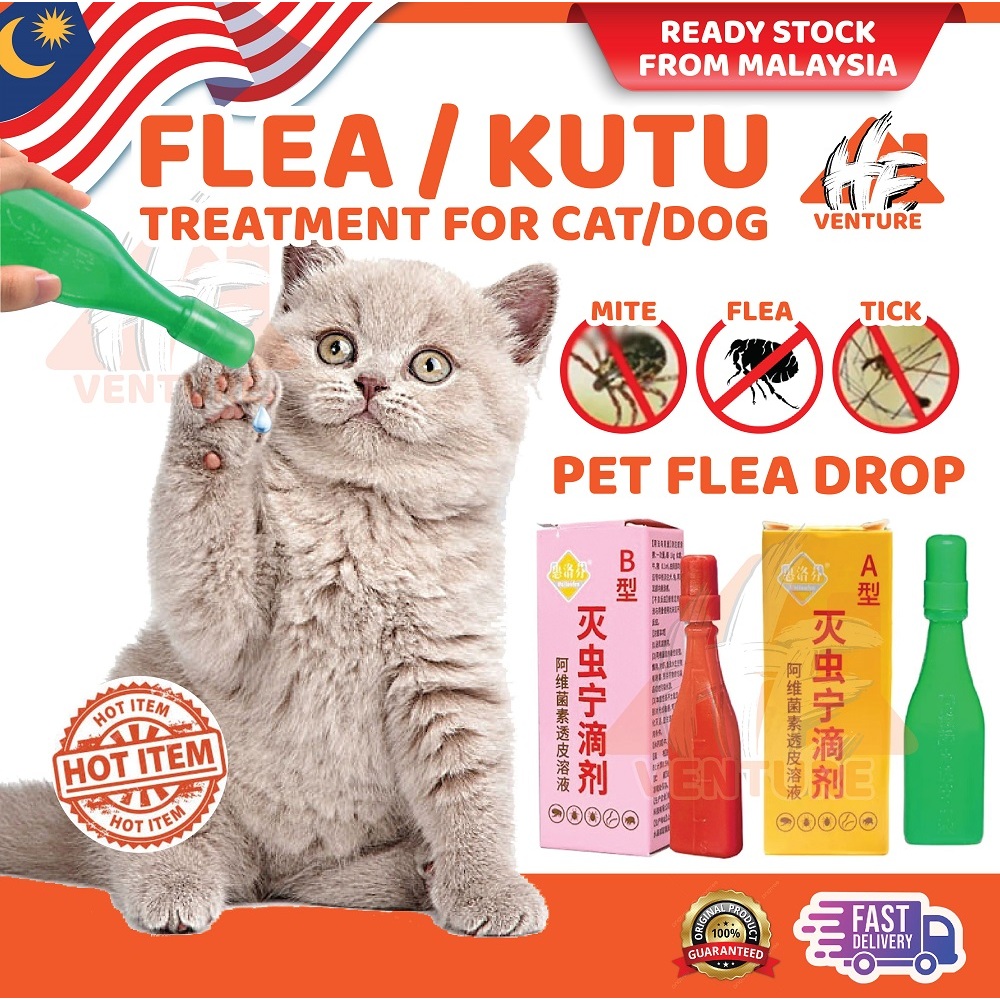 Flea Out Ubat Kutu Kucing & Anjing / Ubat Titis Kutu Kucing Dijamin ...