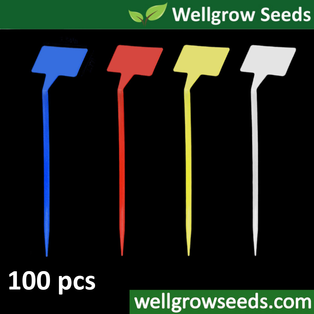 Plant Label/Plant Tag: AL300 (100 pcs) Angled Yellow Ground Label 大号 黄色 ...