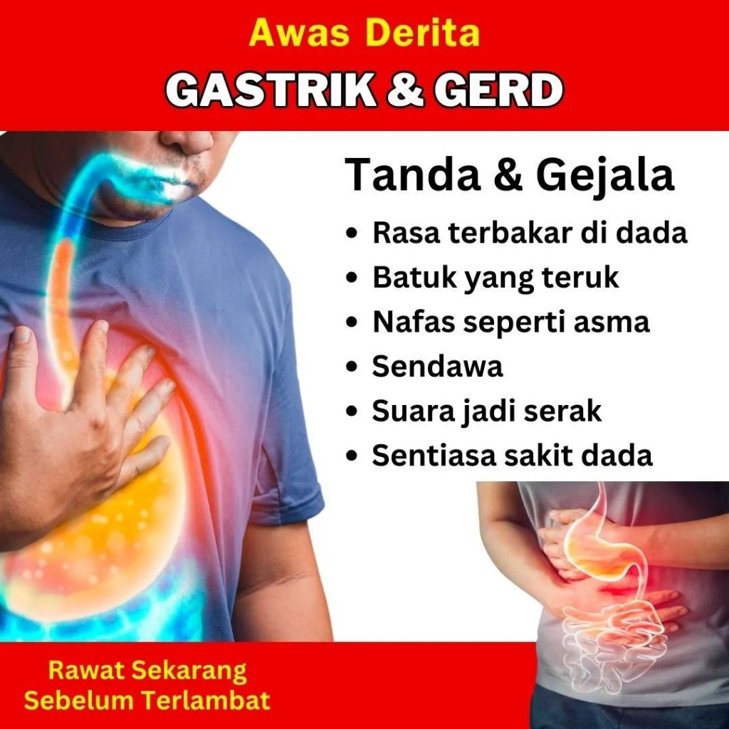Original HQ AsiaHerb Ginger Care Kapsul Halia Bantu Buang Angin Gastrik ...