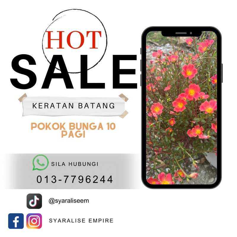 Keratan Batang pokok bunga 10 pagi | Shopee Malaysia