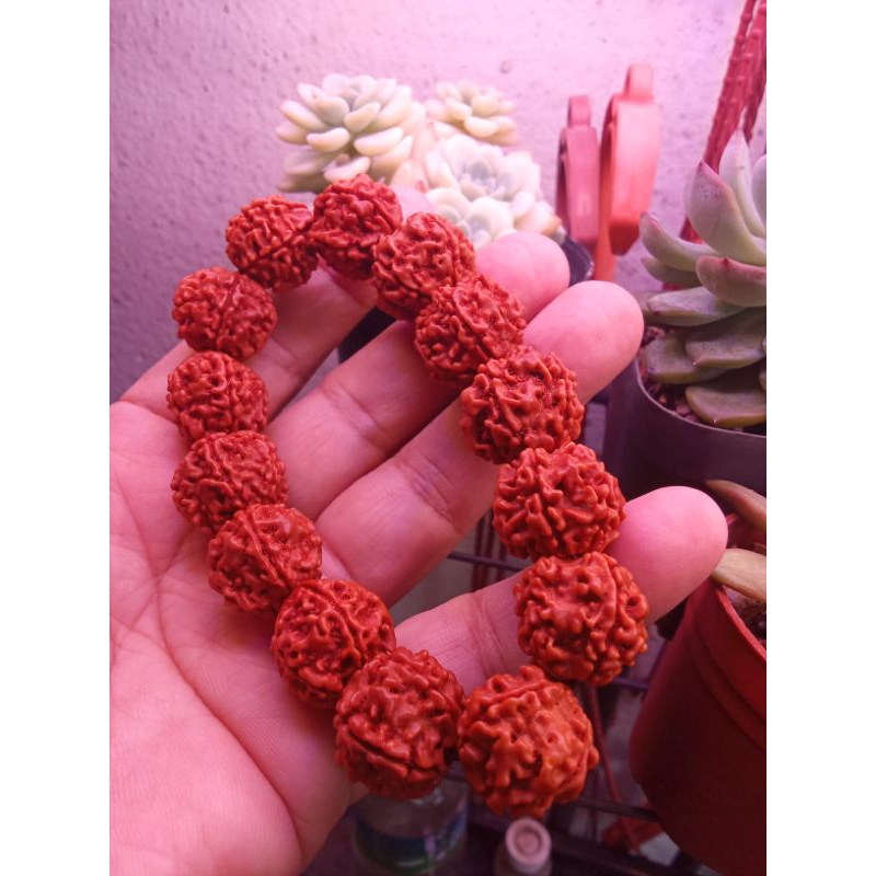 LOVELY GOLDEN YELLOW COLOR RUDRAKSHA SEEDS MALA FROM NEPAL. | Shopee ...