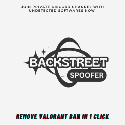 1 Click Spoofer for Valorant (No Format Required) | Shopee Malaysia