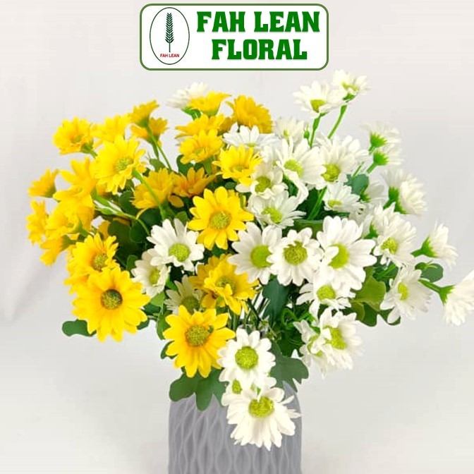 Artificial Brazil Daisy Flower 32cm / Bunga Daisy Hiasan / Hand Bouquet ...