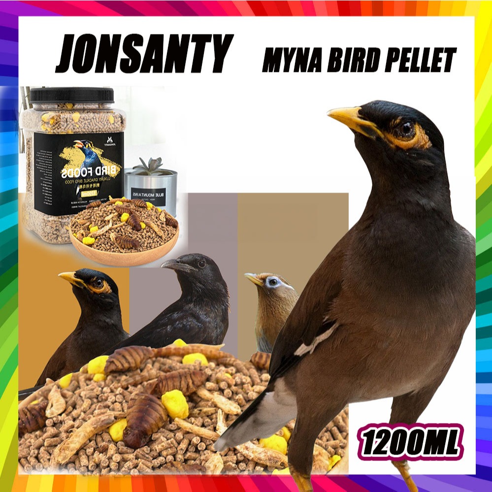 Jonsanty Luxury Premium Common Hill Myna Crested Myna Bird Food 1200ML ...