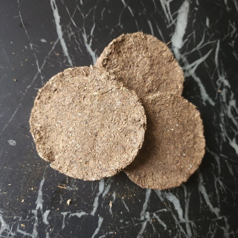 Varathi | Varrati | Cow Dung | Shopee Malaysia