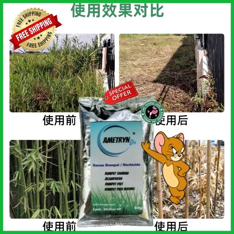Ametryn D Racun Rumput Sambau Degil Lebih Power dari AMERON Monex ...