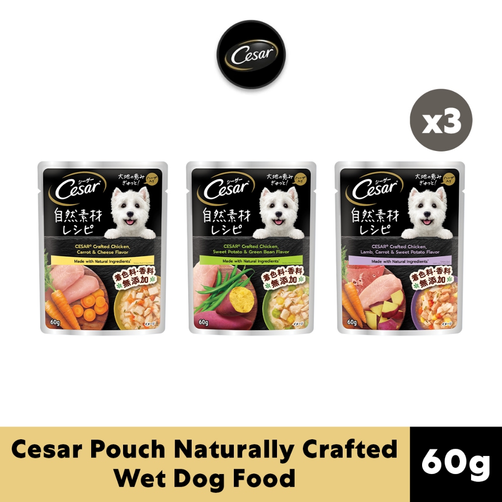 CESAR Pouch Premium Wet Dog Food 60g (3 Pack) | Shopee Malaysia
