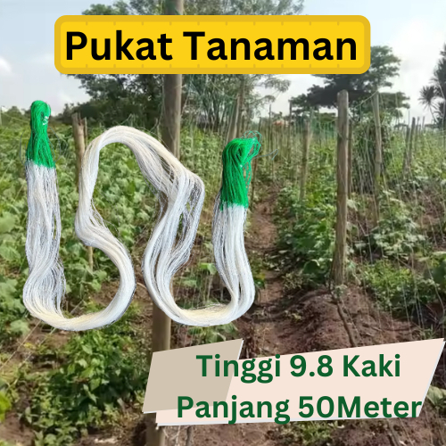 9.8Kaki Tinggi x 50Meter Panjang Cucumber Net Netting Jaring Timun Plant Support Net Plant ...