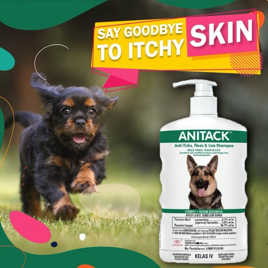 CANAAN ANITACK Anti-Ticks, Fleas & Lice Shampoo for Dogs (500ml/100ml ...