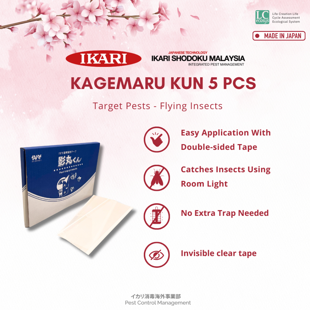 Kagemaru Kun (5pcs) - Invisible Flying Insect Trap/ IVY CLEAR INSECT ...