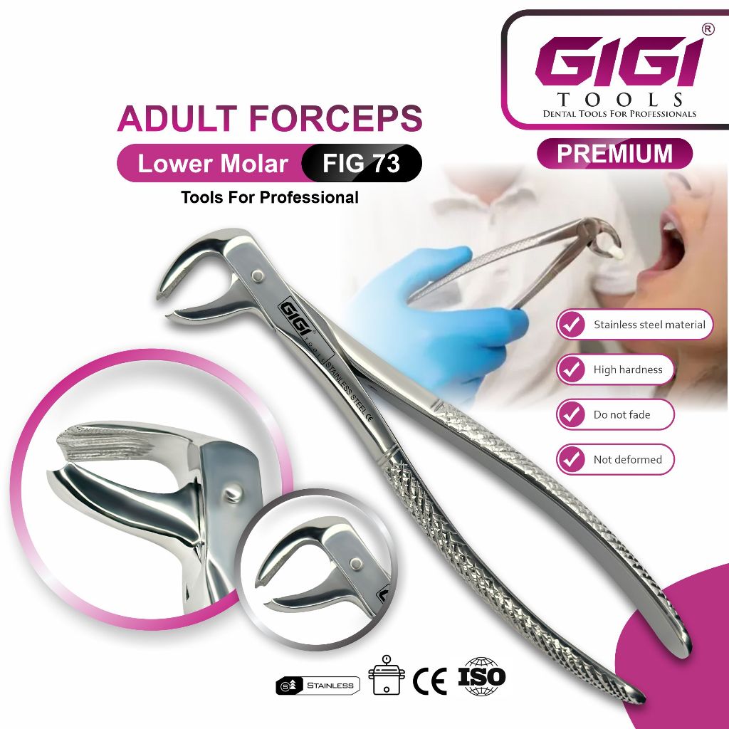 GIGI Tools Tooth Extracting Forceps FIG 73 Lower Molar Adult Forceps ...
