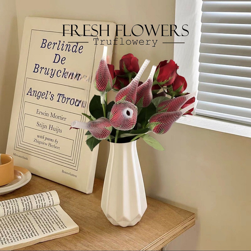 🌷(10pcs) ROSES FRESH FLOWER BUNGA SEGAR ROSE Cameron Highlands | Shopee ...