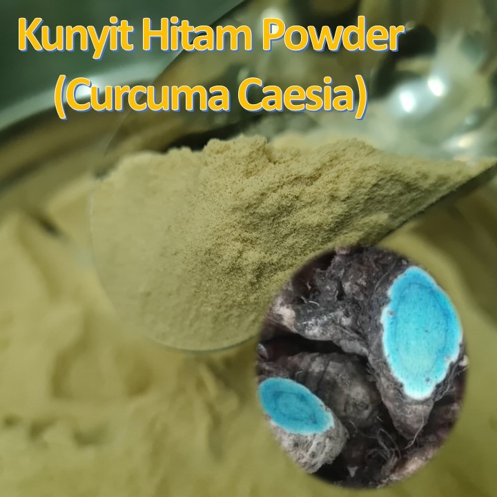 [100g] Kunyit Hitam Powder / Curcuma Caesia (Pure) / Kali Haldi, Black ...