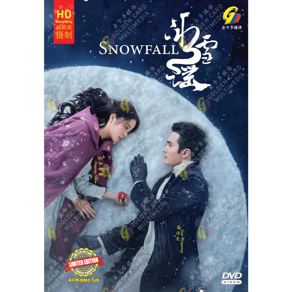 Chinese Drama HD DVD Snowfall TV Series Vol.1-24 End ( 2024 , 冰雪谣 ...