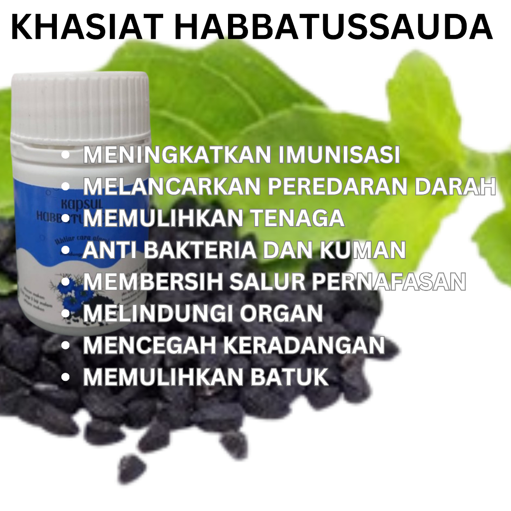 Habbatus sauda Kapsul original semen nigella sativa jintan hitam ...