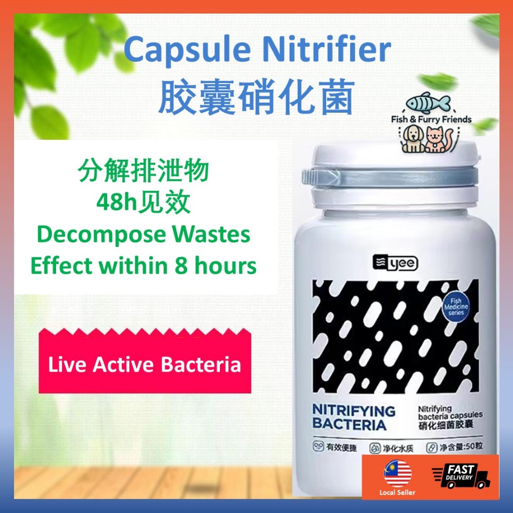 🔥Ready Stock 🔥 YEE Capsule Nitrifying Bacteria Nitrobacter Nitrifier ...