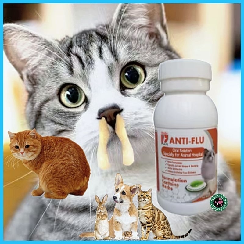 Medic Plus Anti Flu for cat Ubat Selsema Kucing Jenis Cecair | Shopee ...