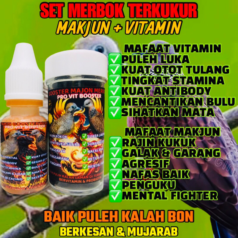 Set booster bon dan mikat majon + vitamin burung merbok terkukur merbah ...