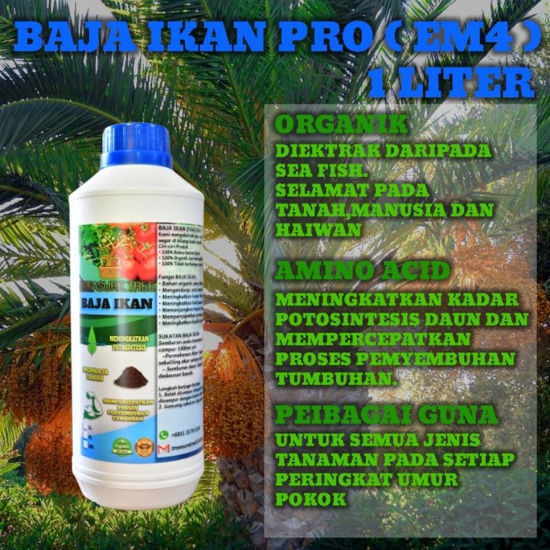 BAJA IKAN UNTUK PERTANIAN 1 LITER #ORGANIK #EM4 /FISH AMINO ACIDS (FAA ...