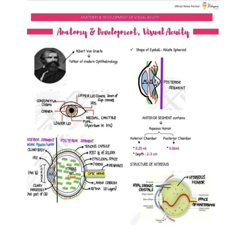 Concise OPTHALMOLOGY notes for MBBS/MD | Shopee Malaysia