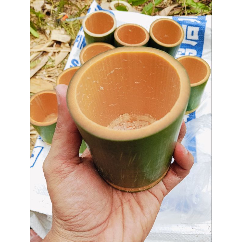 Buluh cawan/botol Buluh tanpa penutup (panjang 9 cm, anggaran luas 7-8 ...