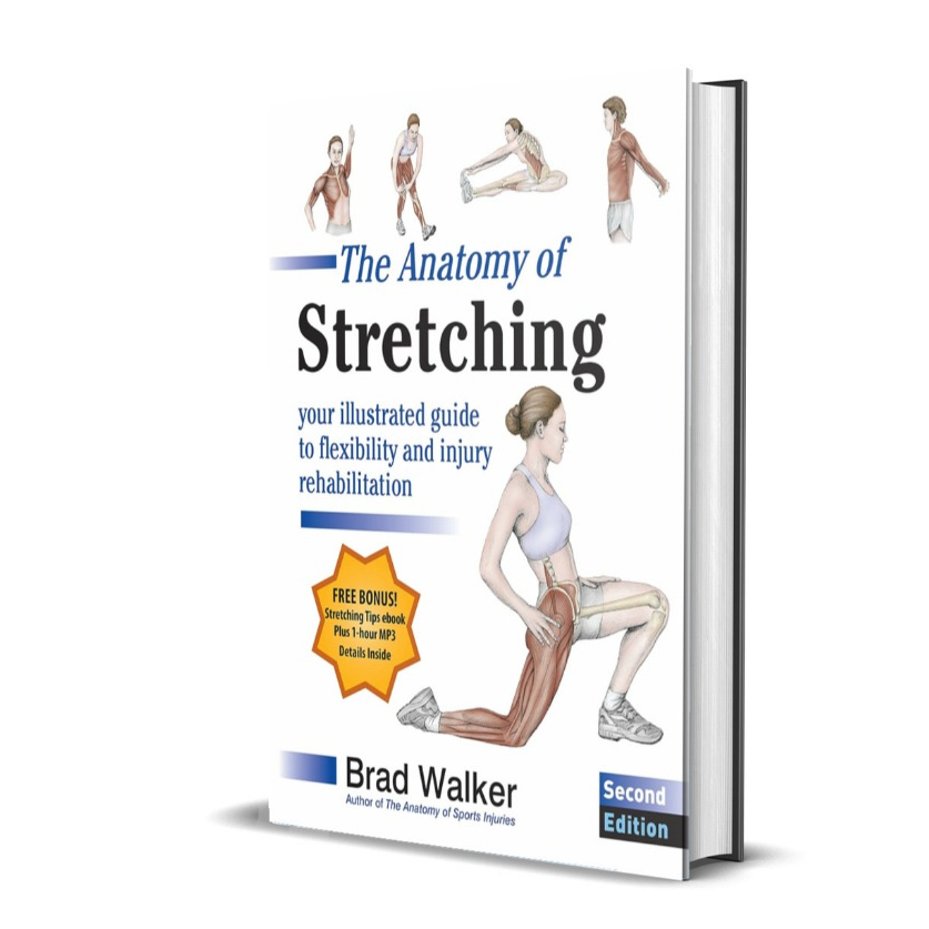 [E-Book] The Anatomy of Stretching. Your Illustrated Guide to ...