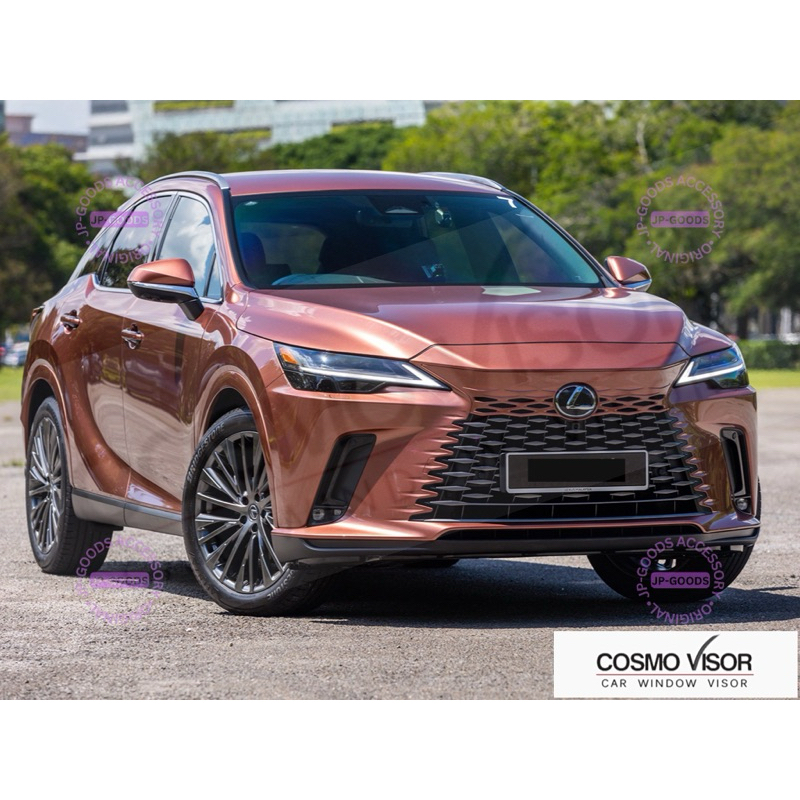 Lexus RX ( ALA10 / ALH10 ) 2023 2024 - Above Injection Door Visor With ...