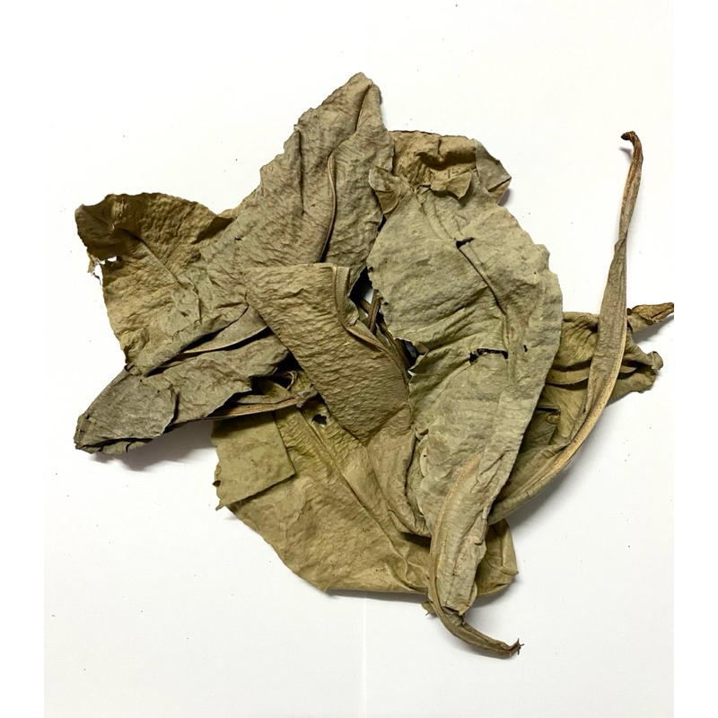 DAUN KACIP FATIMAH (DAUN + BATANG) | Shopee Malaysia