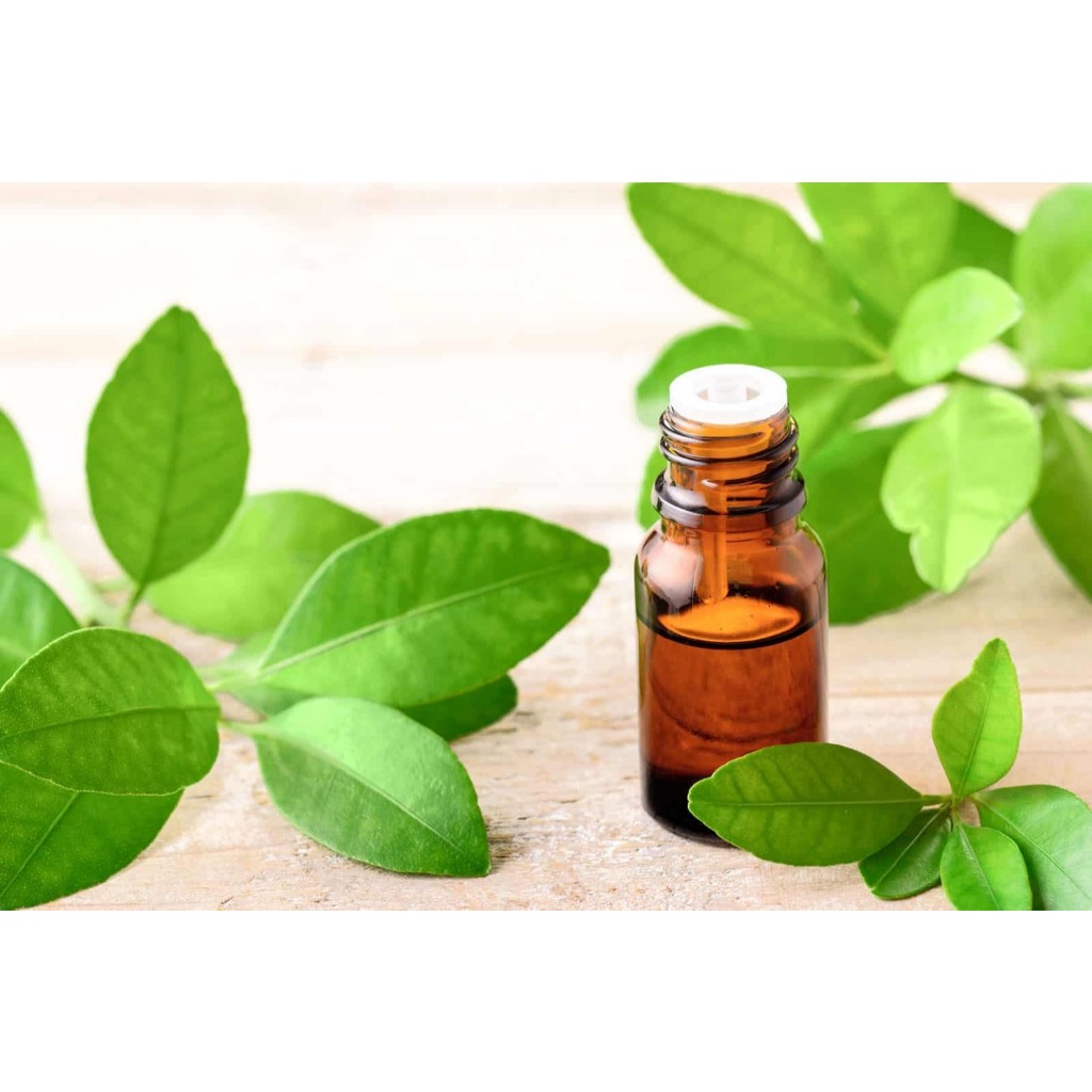 Petitgrain Essential Oil (Citrus Aurantium Amara Leaf/Twig Oil ...