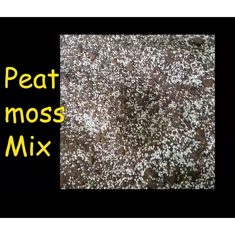 Peat Moss Mix Peat Moss+Perlite Poting Mix For Cactus Succulent ...