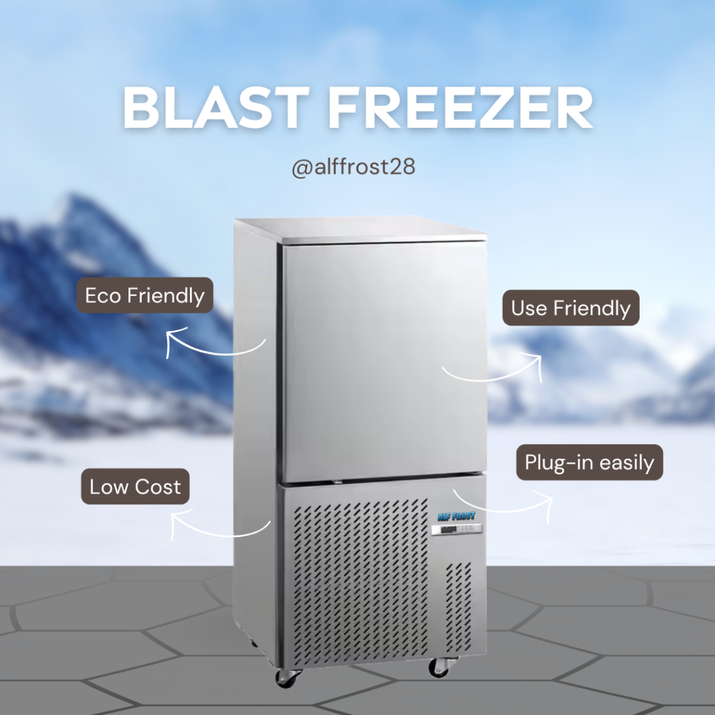READY STOCK | Blast Chiller Freezer | Quick Frozen | 急速冷冻柜 | Shopee ...