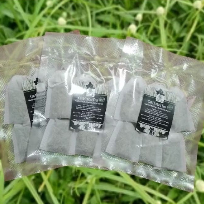 Uncang Teh Rumpit Helikopter Rumput Pendul Kyllinga Brevifolia | Shopee ...