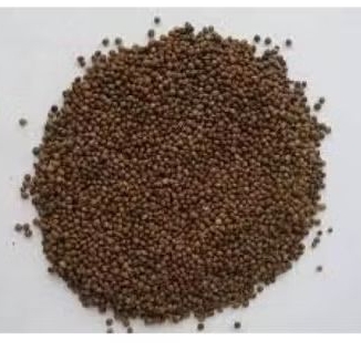 紫苏子 Fructus Perillae 100g+- | Shopee Malaysia