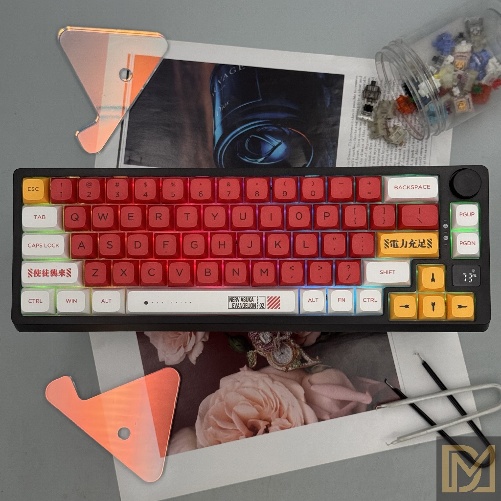 [LOCAL STOCK] DK67 Mechanical Keyboard 65% RGB Prebuilt 3 Modes Leobog ...