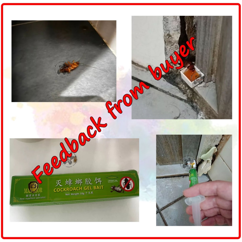 Umpan Lipas Gel Bait Mangzor Insects Wipe Out Gel Eco Bait Cockroach Kill Gel Bait Repellent ...