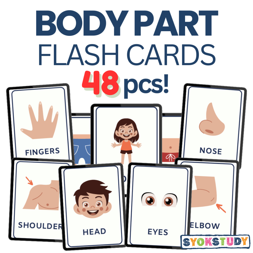 PDF | Body Part Flash Cards BM & BI | Learning & Education | Toddler ...