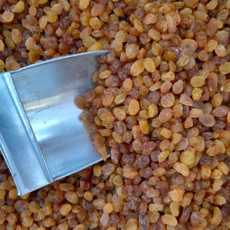 SULTANA RAISIN (1kg 500g)/ KISMIS SULTANA | Shopee Malaysia