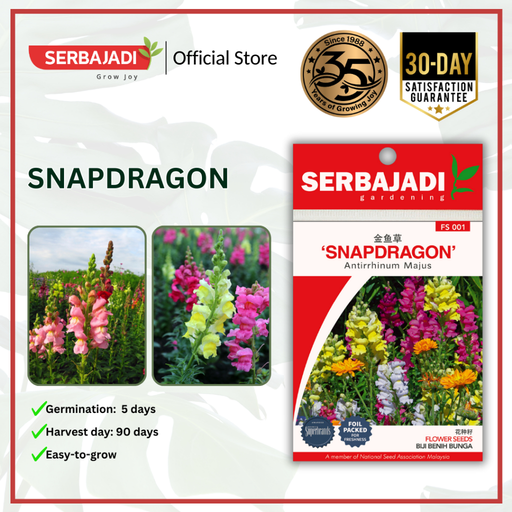 Serbajadi Flower Seed Snapdragon - Antirhinum Majus/ Biji Benih Bunga ...