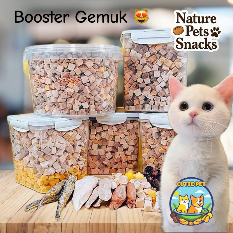 Booster Freeze Dried Cube Chicken Egg Beef Tuna Salmon Fish Krill Pet ...