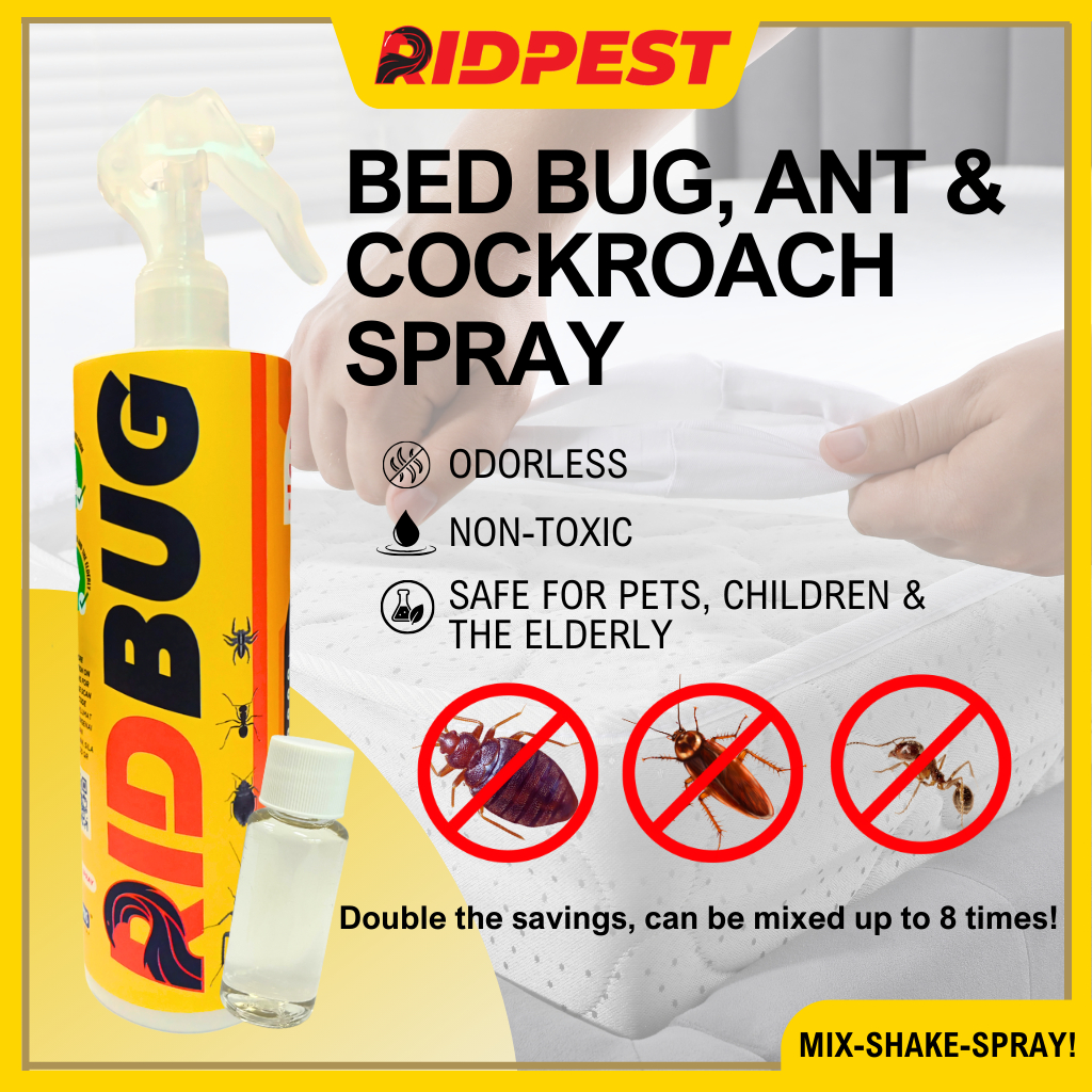 Ridpest Ridbug Bed Bug Ant Cockroach Spray Ubat Pijat Pepijat Semut ...