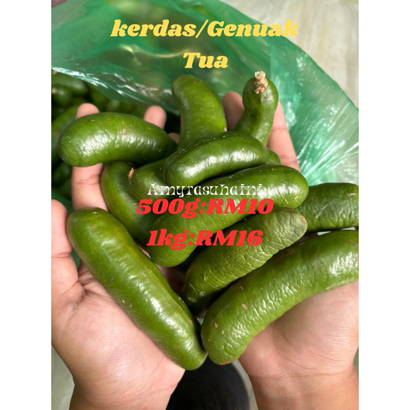 Buah genuak / kerdas tua. | Shopee Malaysia