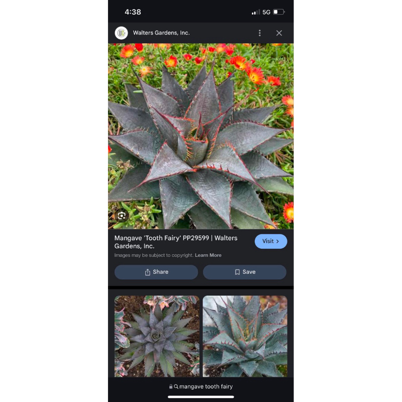 Plant booking for customer | Shopee Malaysia