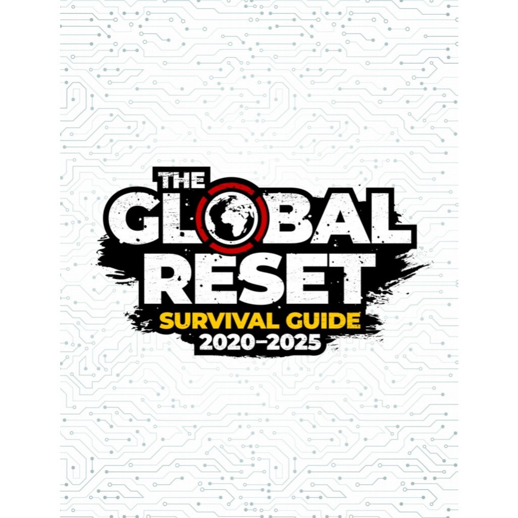 The Global Reset Survival Guide 2020-2025 (ebook) | Shopee Malaysia